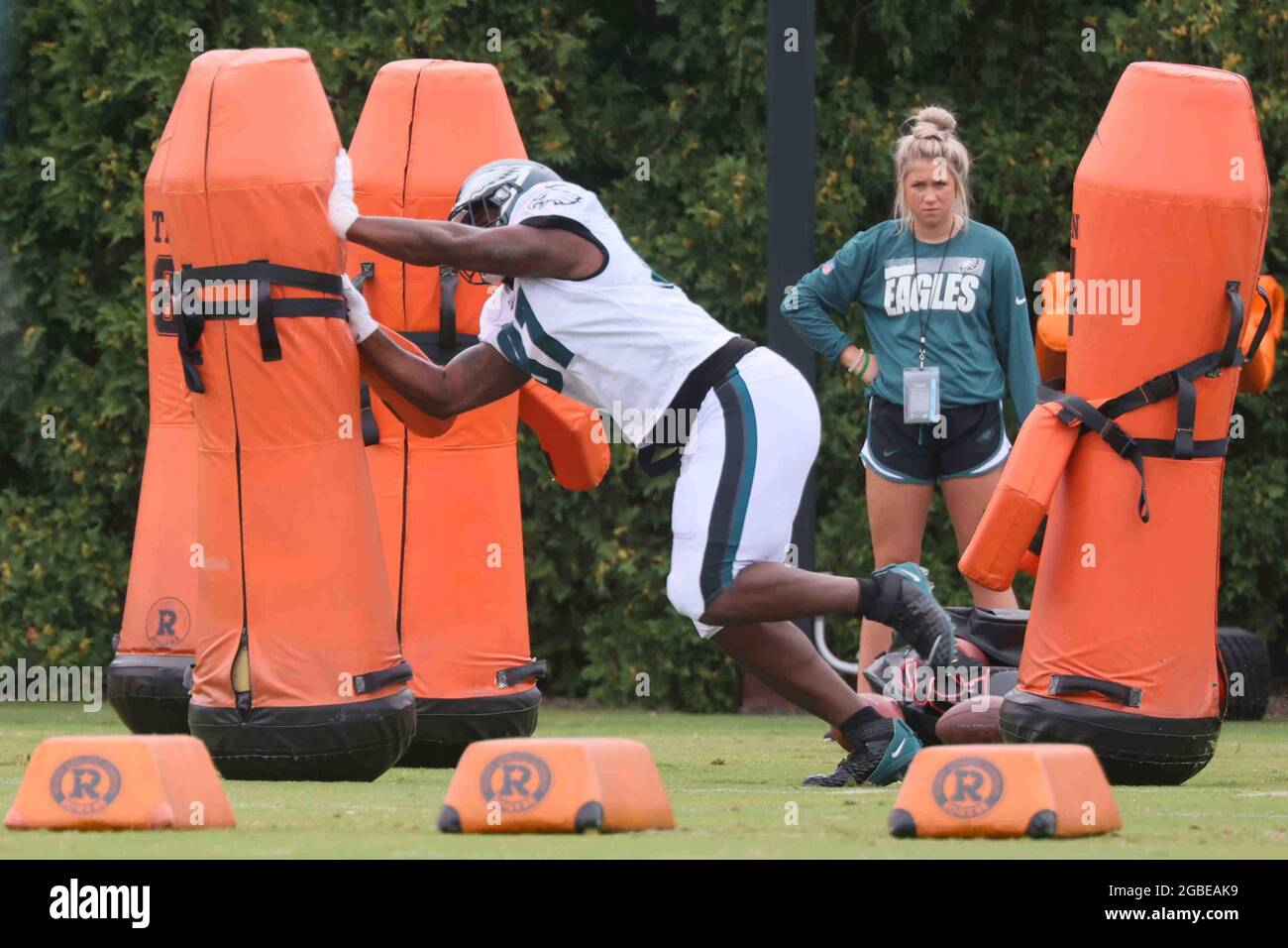 Hargrave eagles hi-res stock photography and images - Alamy