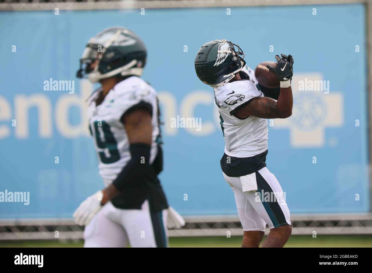 Steven nelson eagles hi-res stock photography and images - Alamy