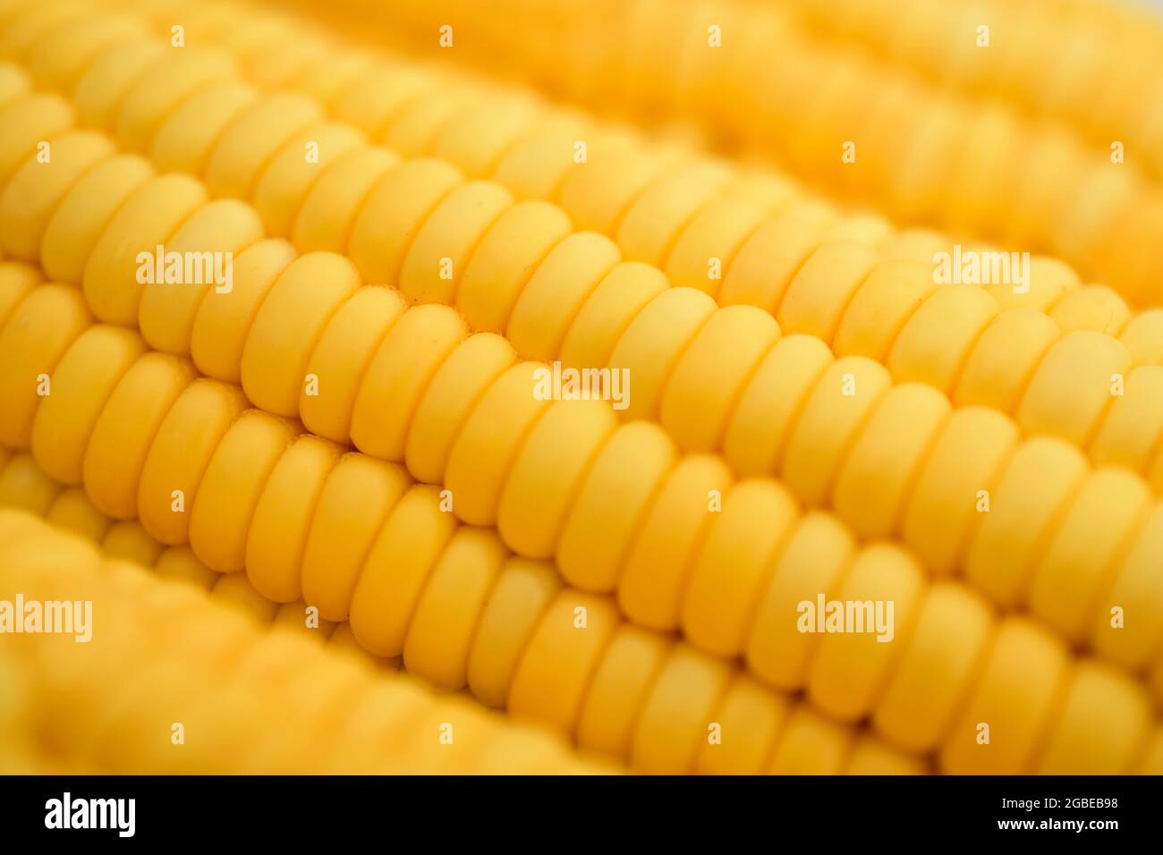 Closeup Of Corn Texture Stock Photo - Alamy