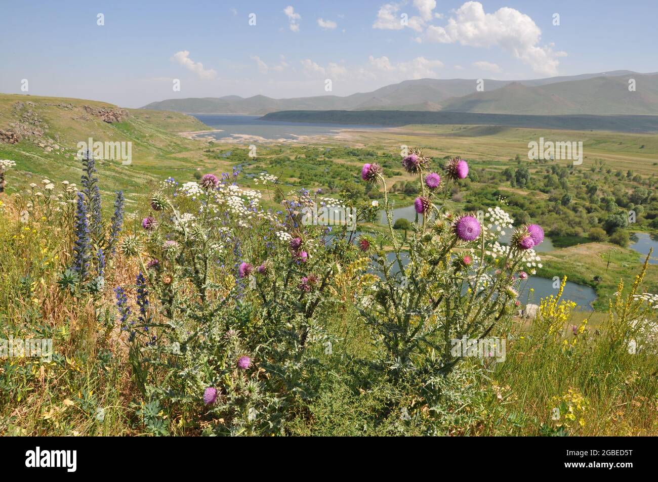 Beautiful scene of a landscape in Armenia with wild field plants, hills ...