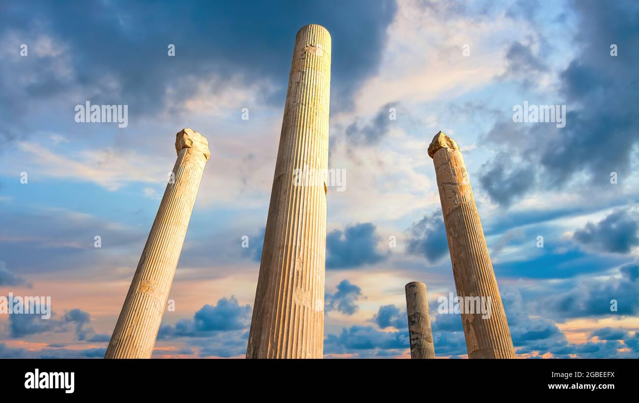 Persepolis, Iran - May 2019: Ruins of Persepolis, the capital of the ...