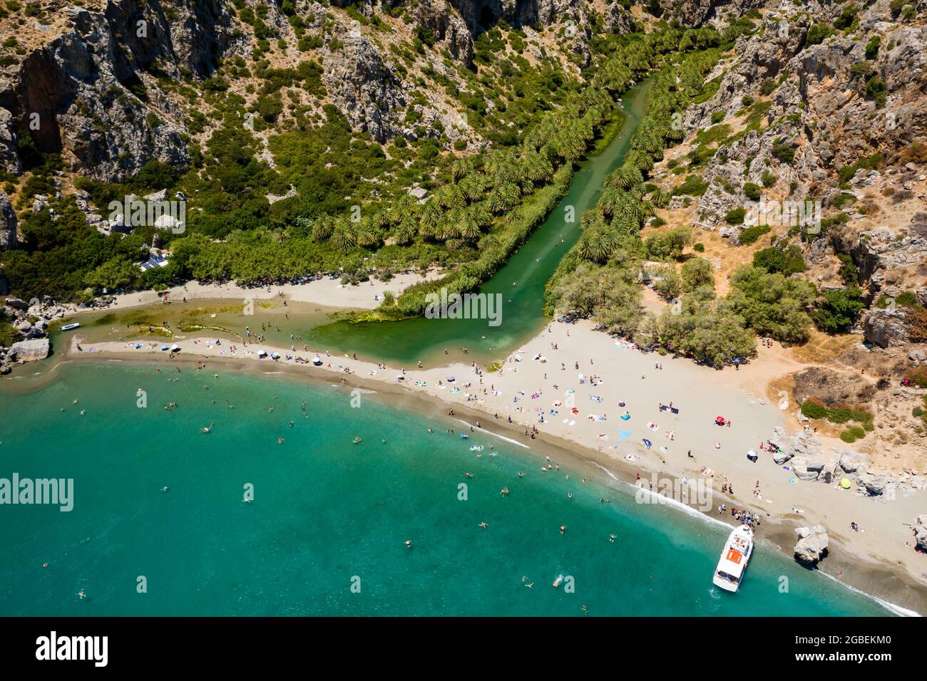Aerial view of a beautiful palm tree forest leading to a sandy beach ...