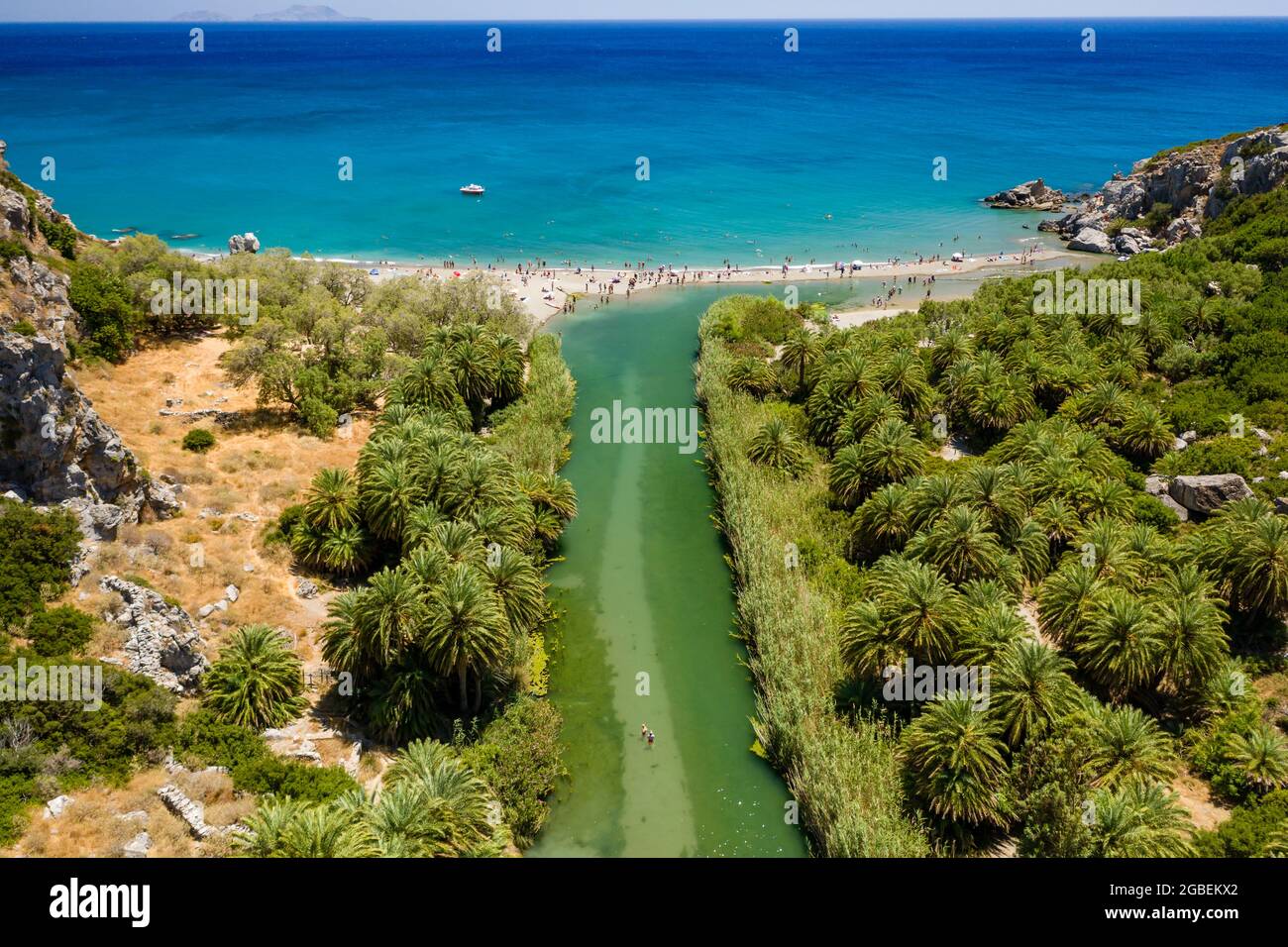 Aerial view of a beautiful palm tree forest leading to a sandy beach ...