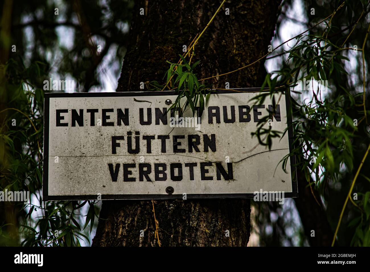 Prohibition sign in German with "It is not allowed to feed ducks and ...