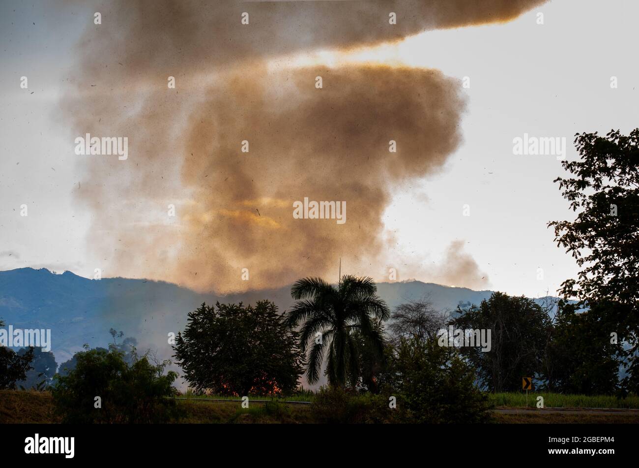 Sugar cane fire burning in field at Valle del Cauca in Colombia Stock ...