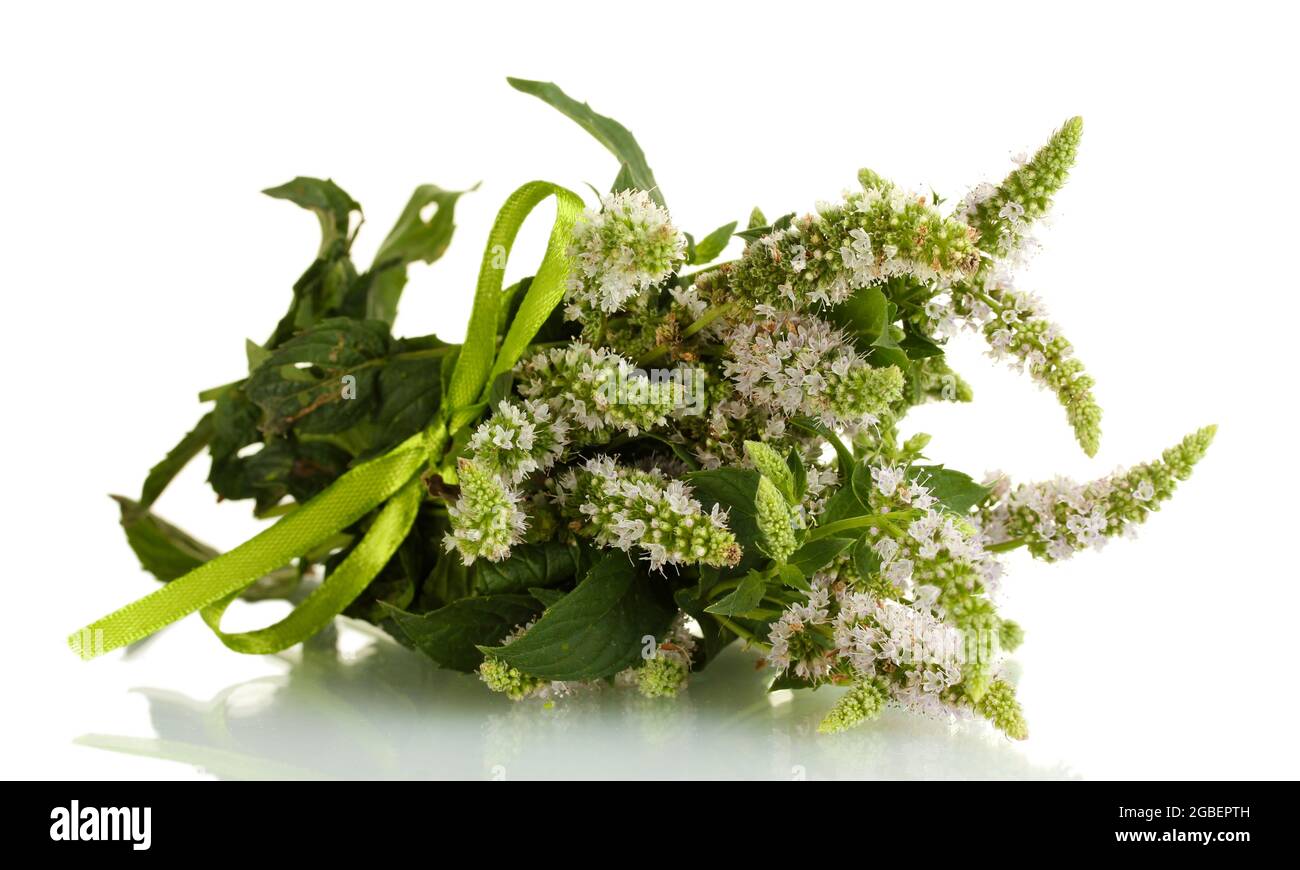 fresh mint with flowers, isolated on white Stock Photo - Alamy
