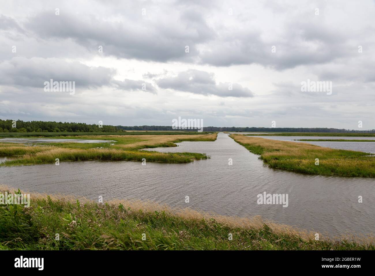 Wetland ecosystem hi-res stock photography and images - Alamy