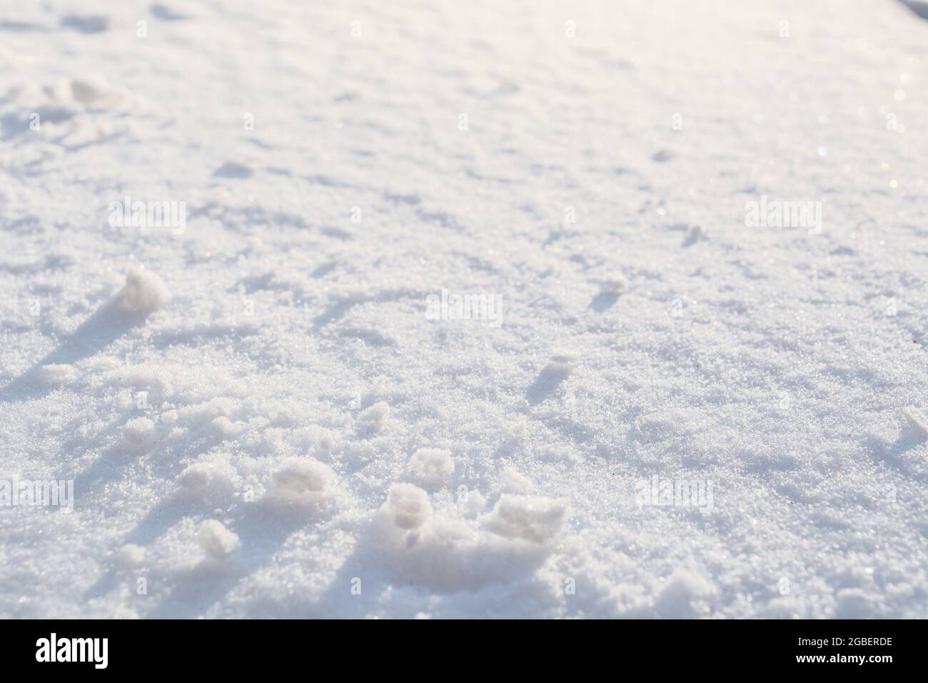 Real snowy surface background. Winter clean snow backdrop Stock Photo ...