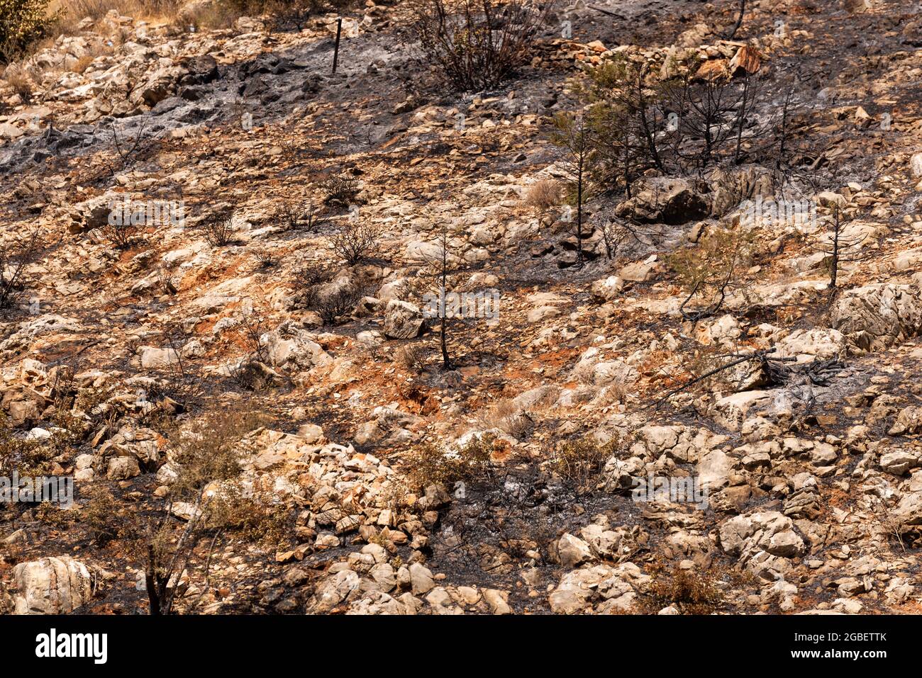 Landscape shot of Bunrt forest at Mugla Bodrum Turkey. Fire happened at ...