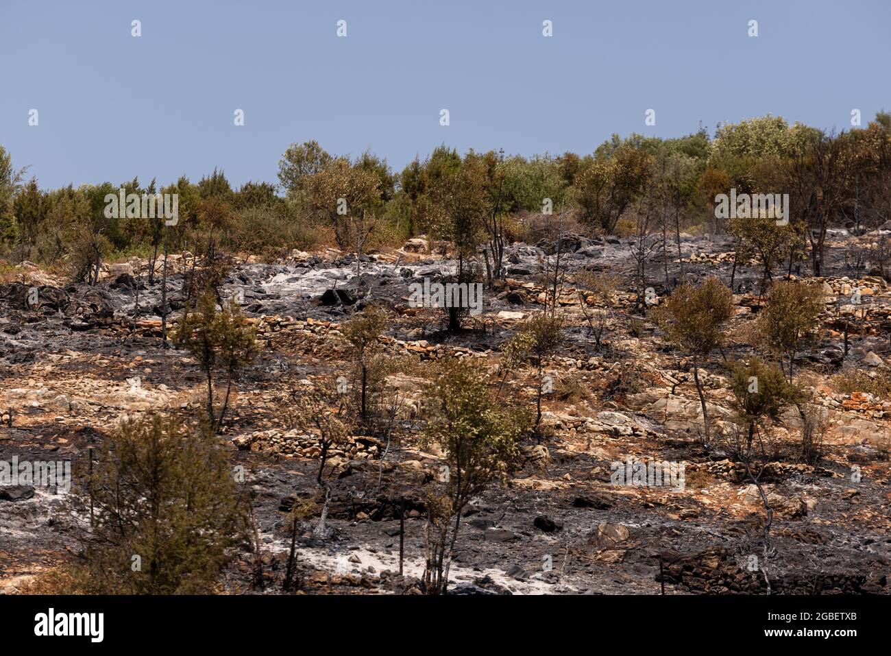 Landscape shot of Bunrt forest at Mugla Bodrum Turkey. Fire happened at ...