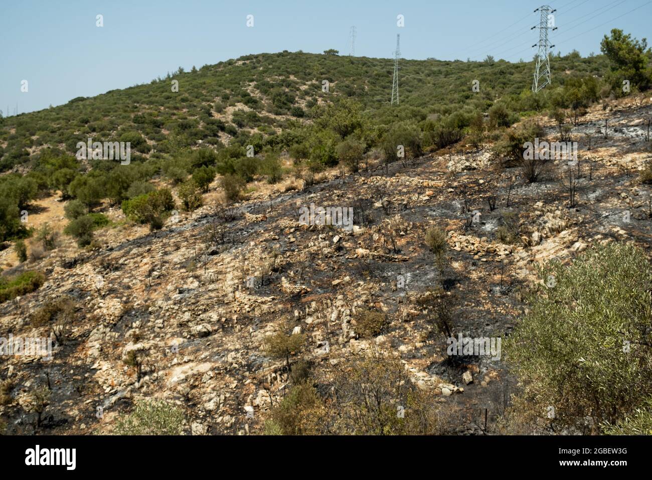 Landscape shot of Bunrt forest at Mugla Bodrum Turkey. Fire happened at ...