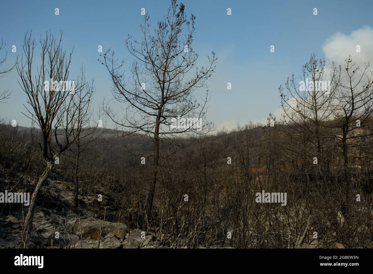 Landscape shot of Bunrt forest at Mugla Bodrum Turkey. Fire happened at ...