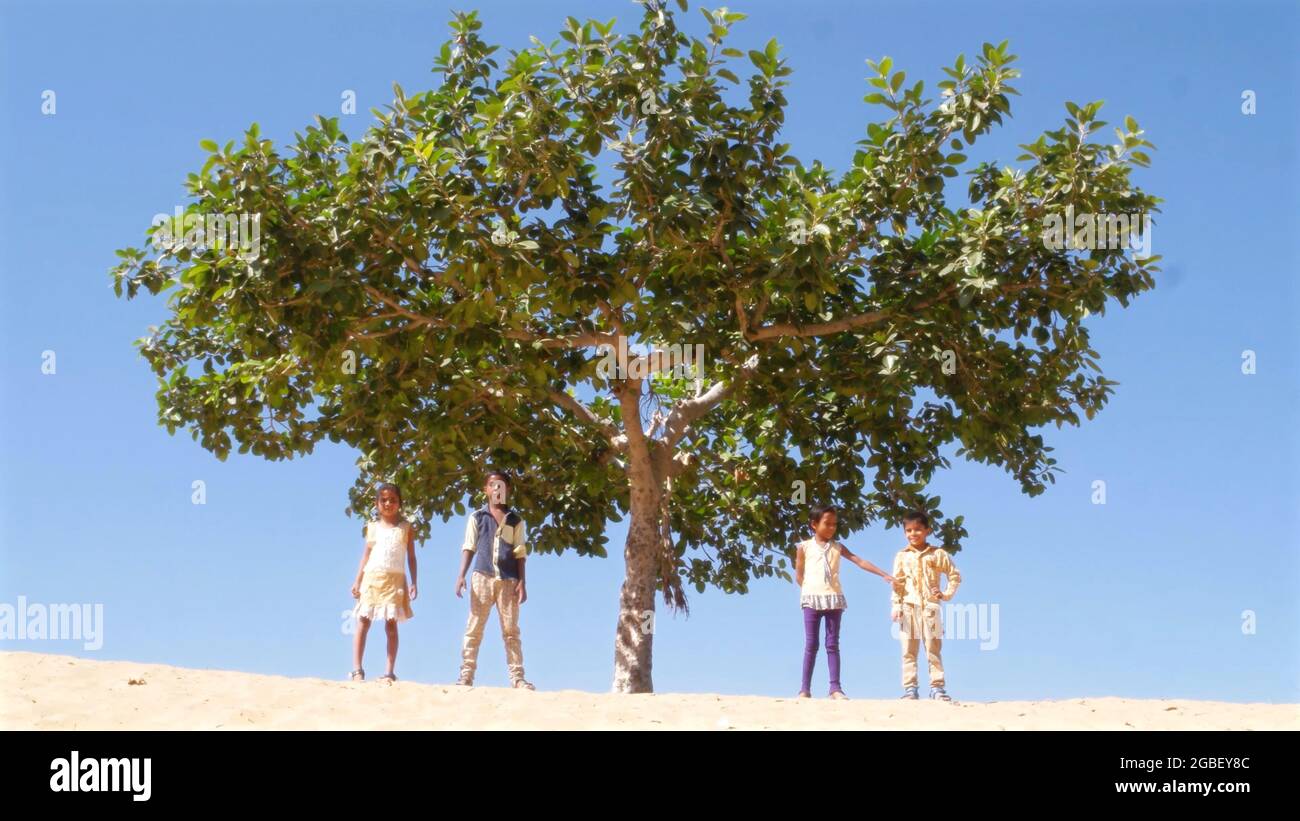 Group of Indian children standing on the top of the hill under the tree ...