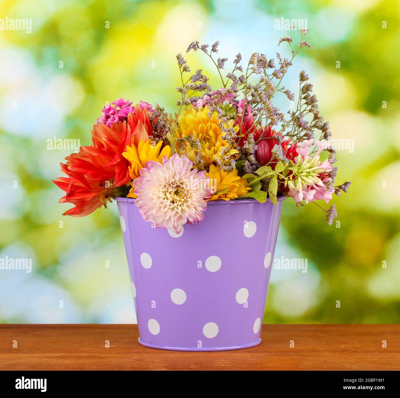 Purple bucket with white polka-dot with flowers on green background ...
