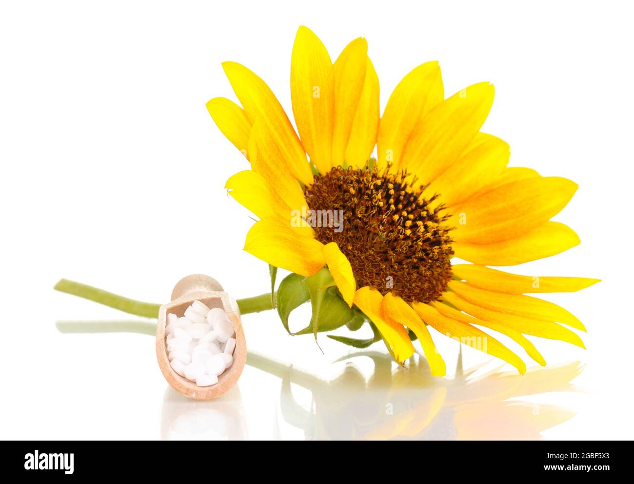 homeopathic tablets and flower isolated on white Stock Photo - Alamy