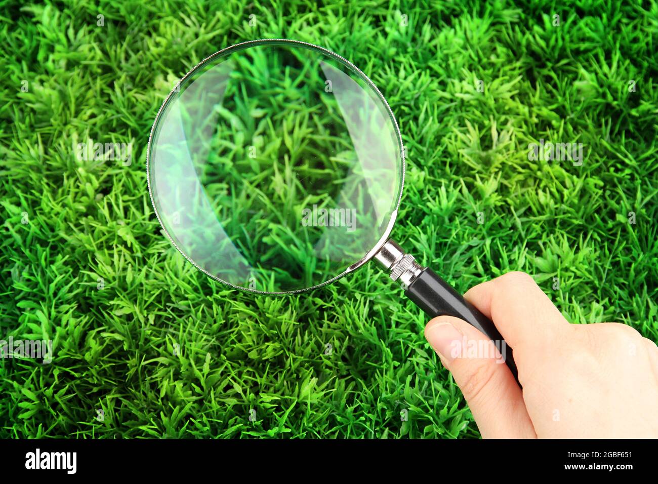 magnifying glass in hand on green grass Stock Photo - Alamy