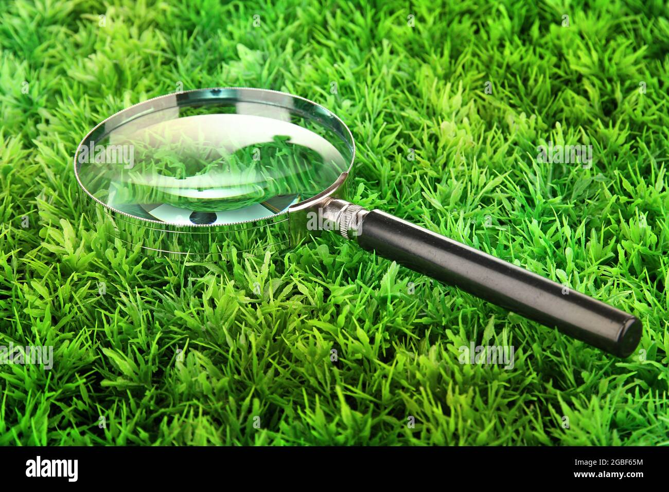 magnifying glass on green grass Stock Photo - Alamy