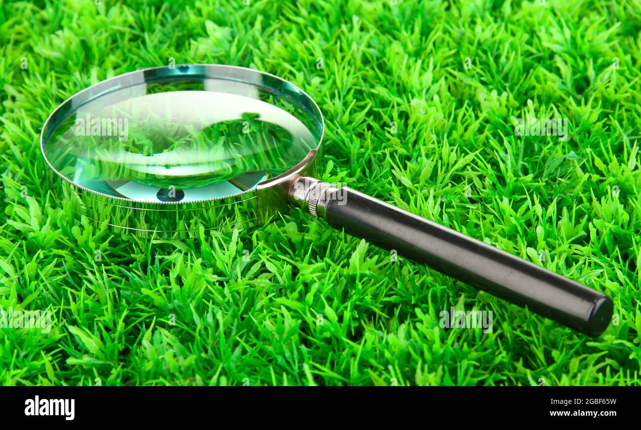 magnifying glass on green grass Stock Photo - Alamy