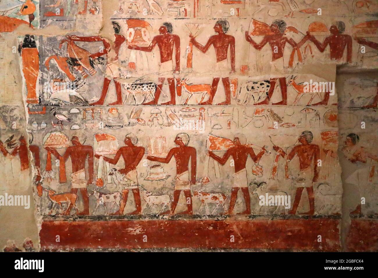 Cairo. 3rd Aug, 2021. Photo taken on Aug. 3, 2021 shows a colored ...