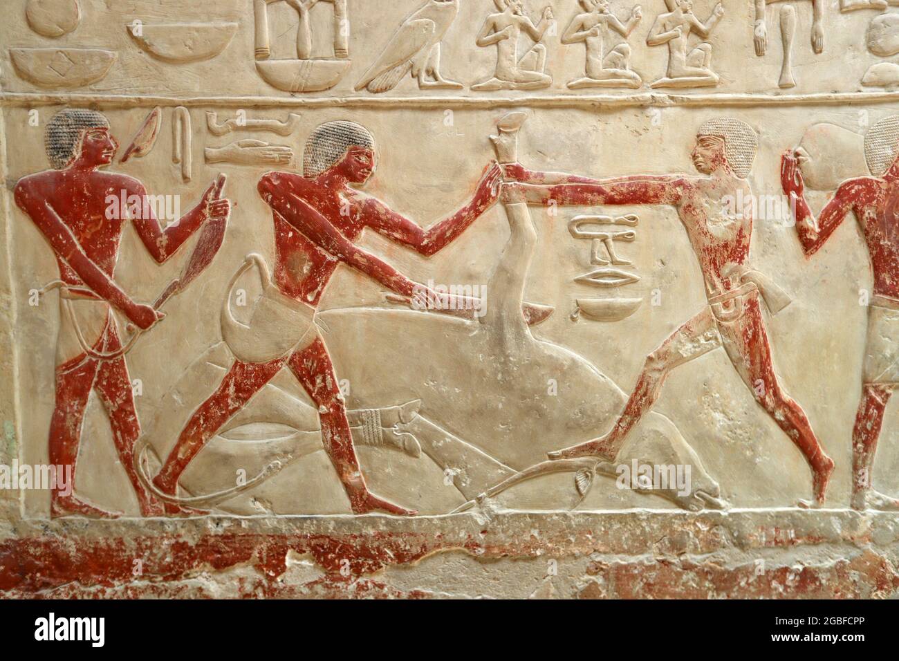 Cairo. 3rd Aug, 2021. Photo taken on Aug. 3, 2021 shows a colored ...