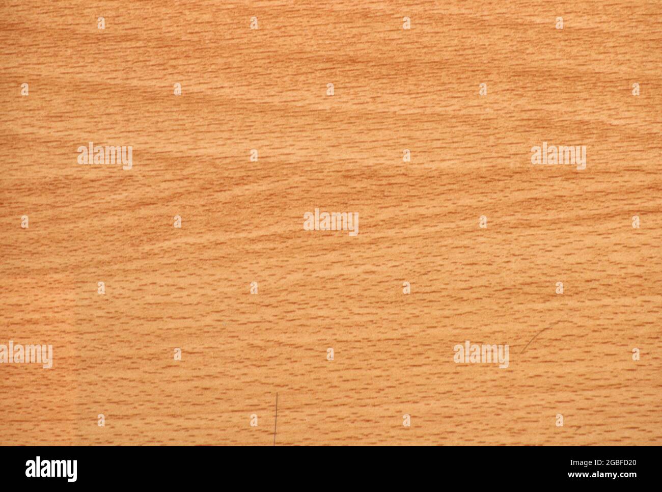 Dark beech, light lacquered wood surface close-up. Background, pattern ...