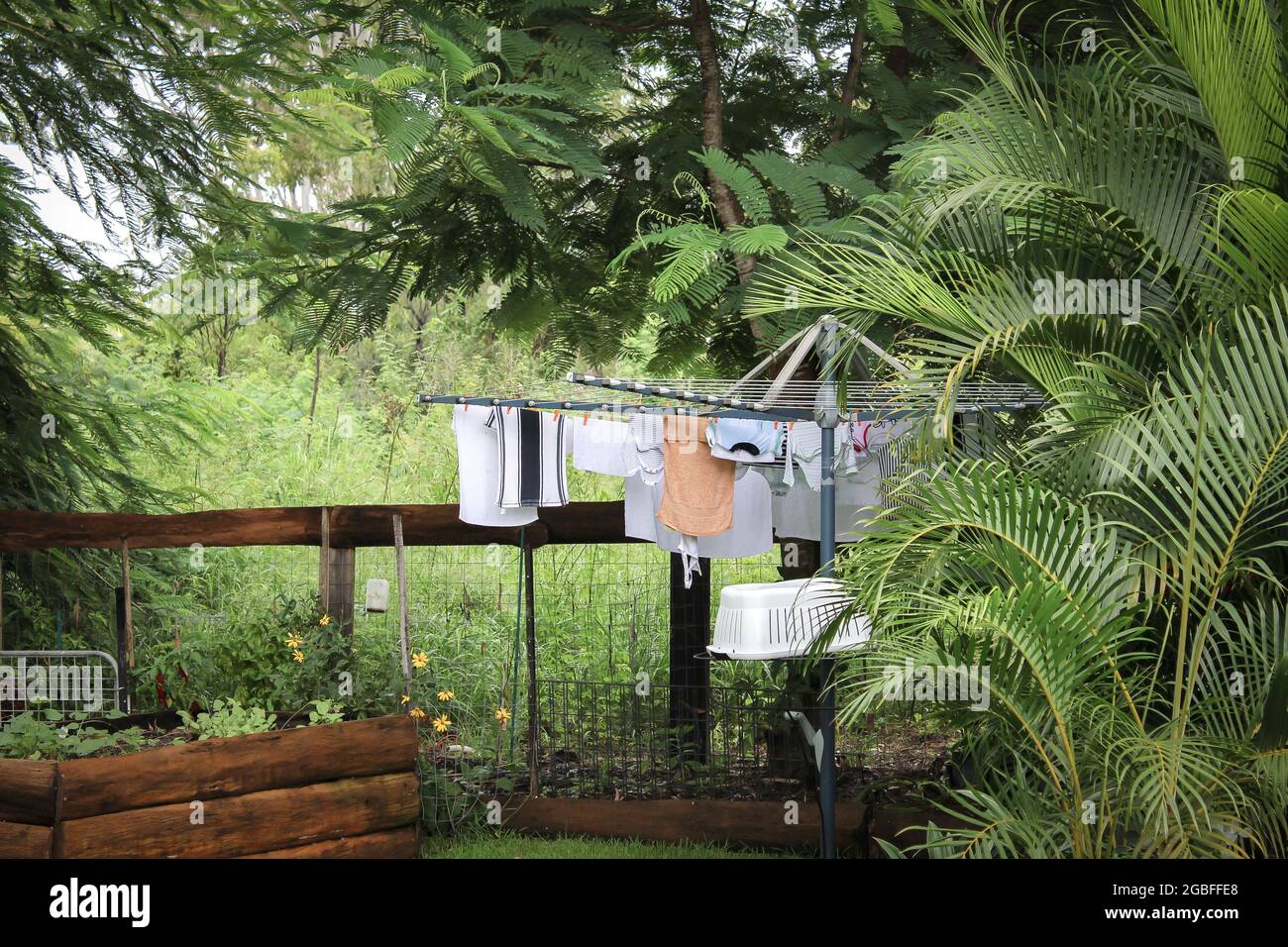 Laundry trees hi-res stock photography and images - Alamy