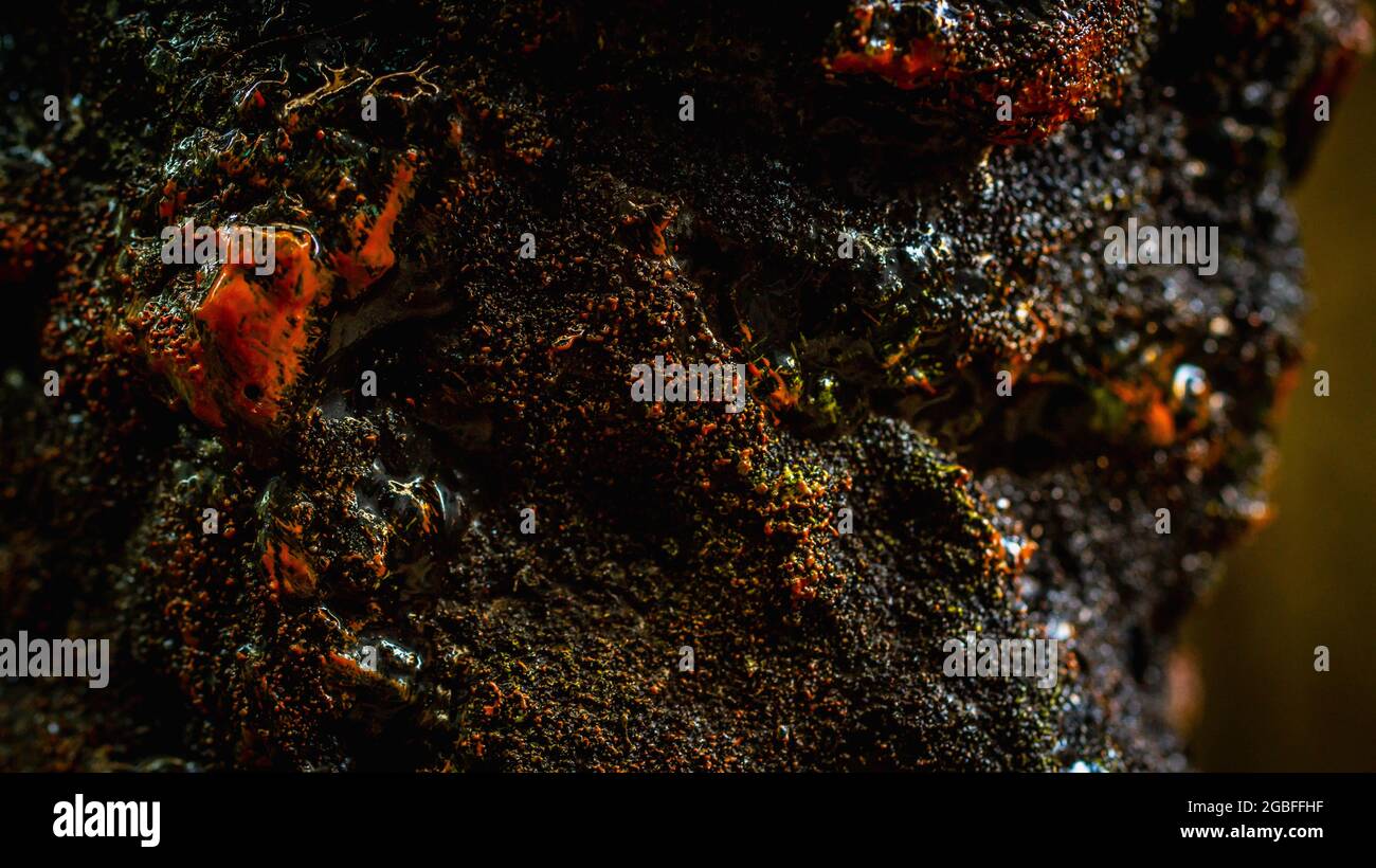 Beautiful artisan pot made from paper waste and concrete Stock Photo ...