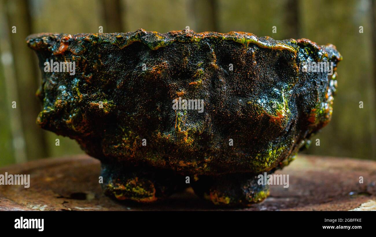 Beautiful artisan pot made from paper waste and concrete Stock Photo ...