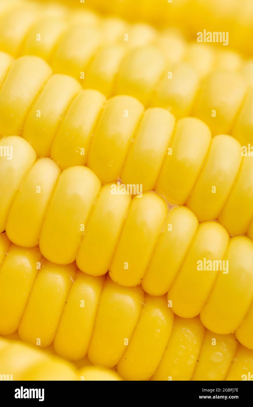 Corncob hi-res stock photography and images - Alamy