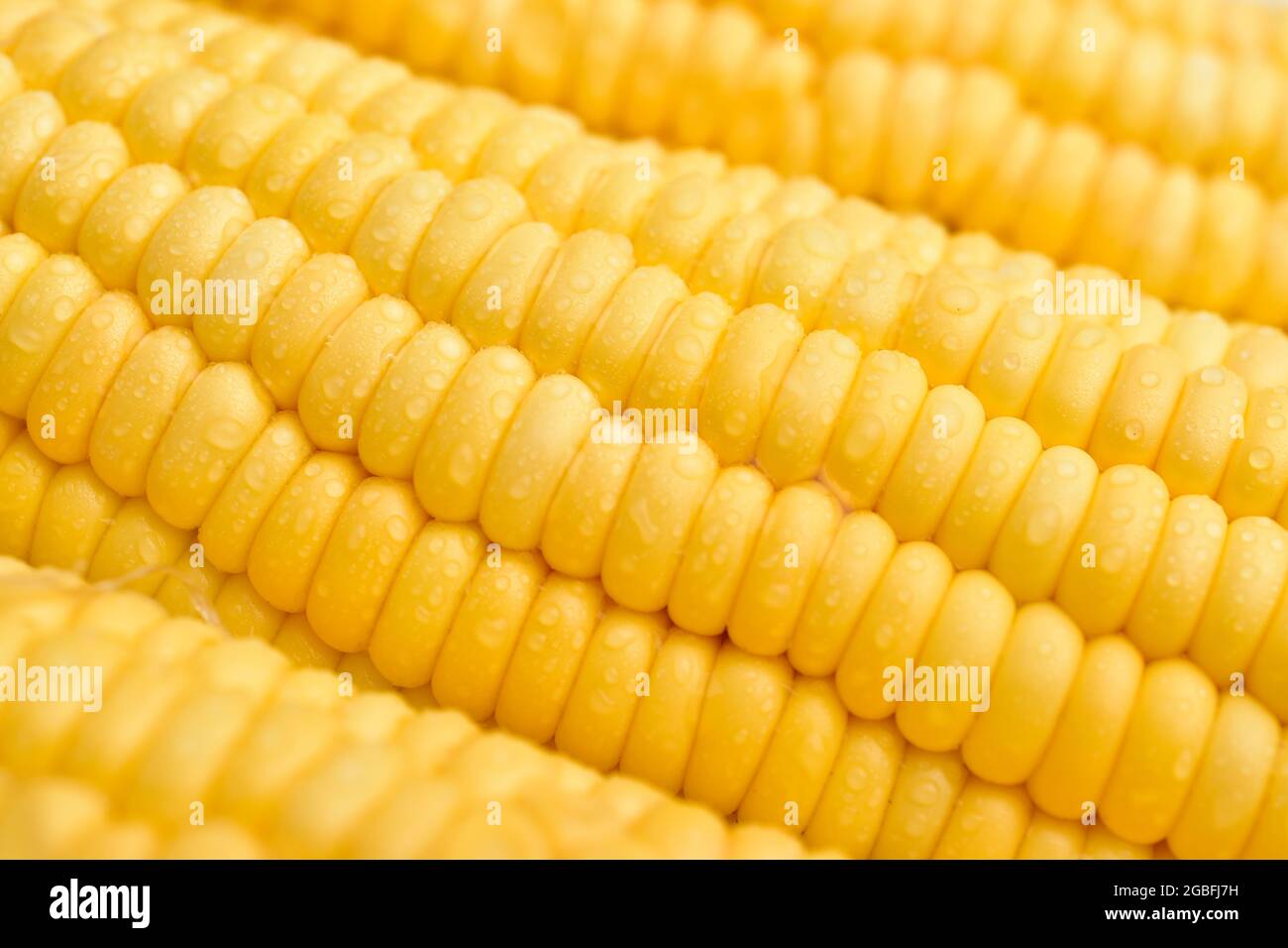 Texture Of peeled corn Stock Photo - Alamy