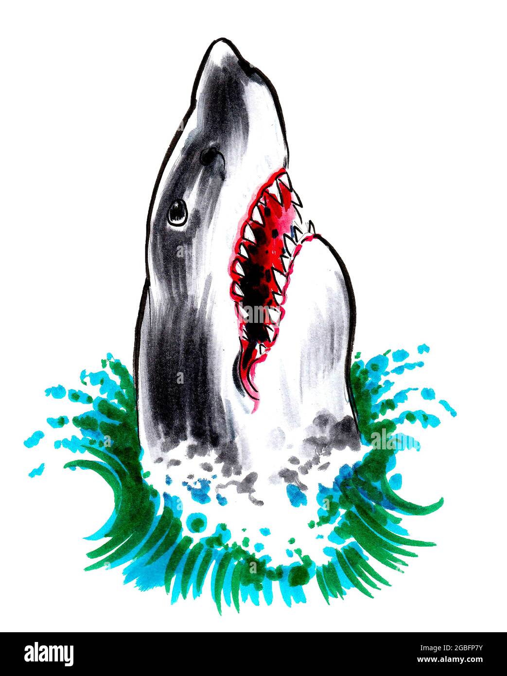 Shark fish in sea water. Ink and watercolor drawing Stock Photo - Alamy