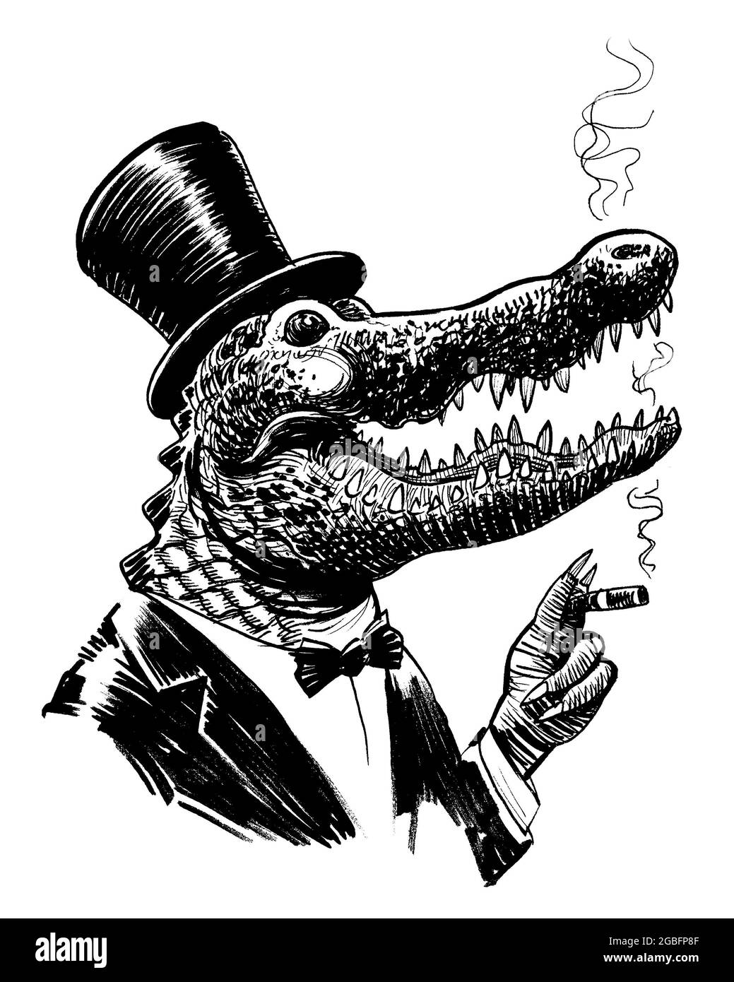 Cool alligator hi-res stock photography and images - Alamy