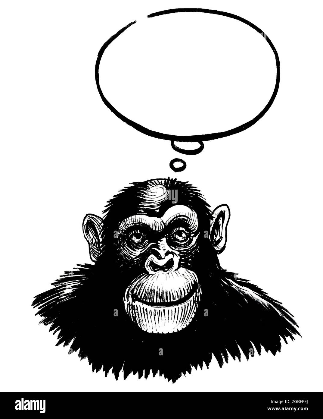 Thinking Chimpanzee