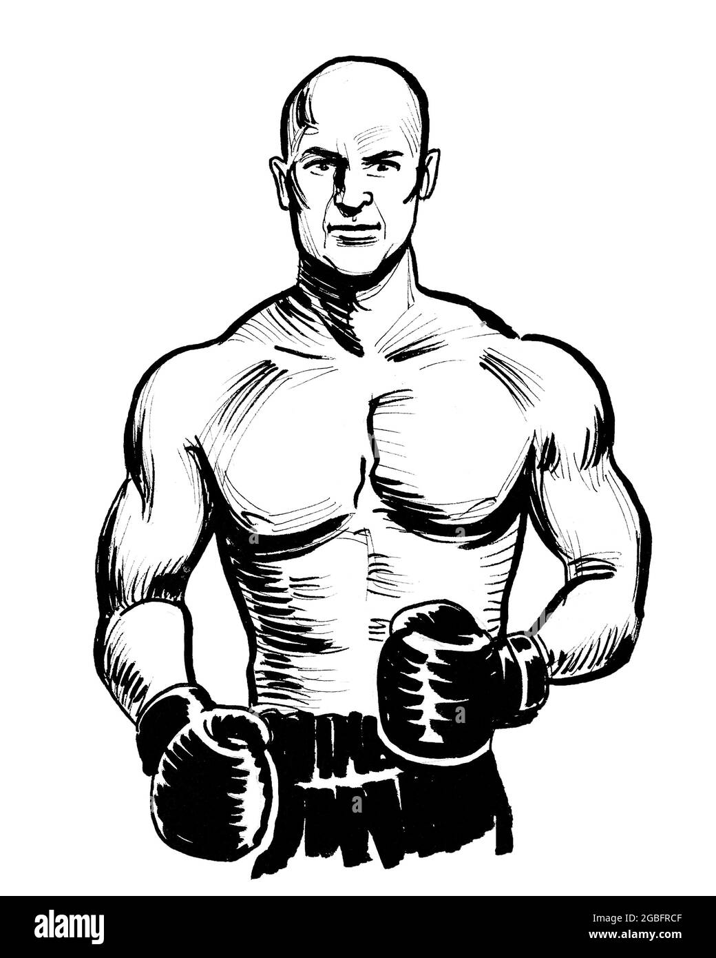 Boxer Ink Drawing Retro Boxer. Ink Black And White Illustration Stock