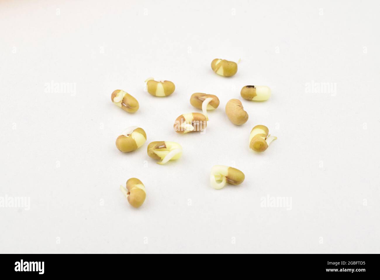 Closeup Of Sprouted Mung Beans Isolated On White Background Stock Photo ...