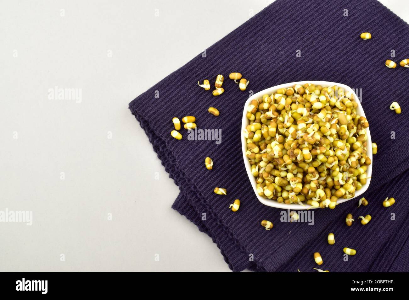 Sprouted Mung Beans In White Bowl Isolated On White Background Stock ...