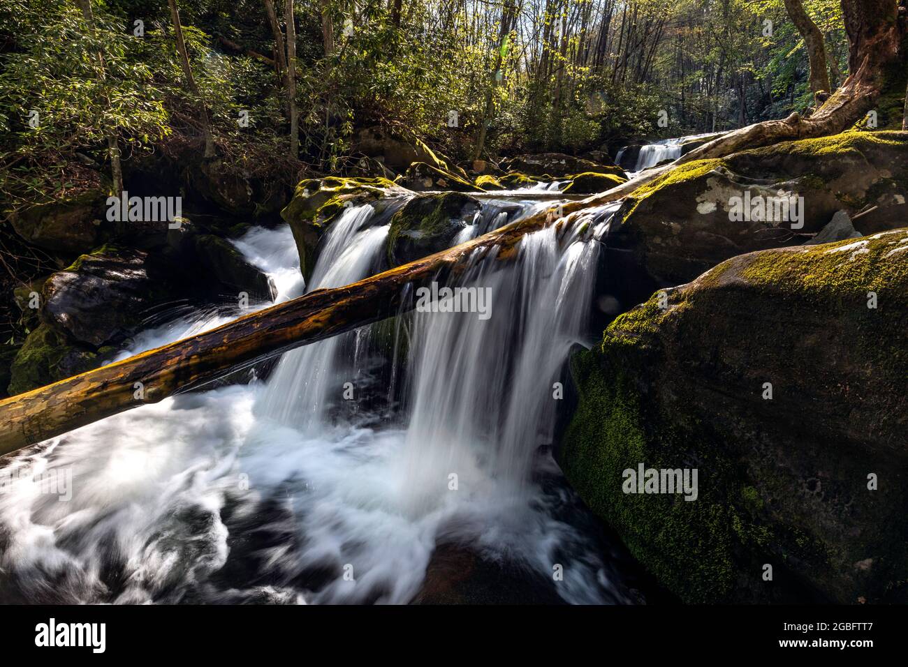 Middle Prong Trail of the Great Smoky Mountains in Cades Cove has ...