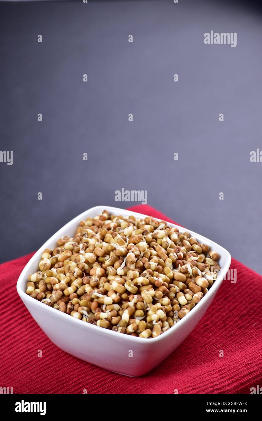Seedling mung bean sprout hi-res stock photography and images - Alamy