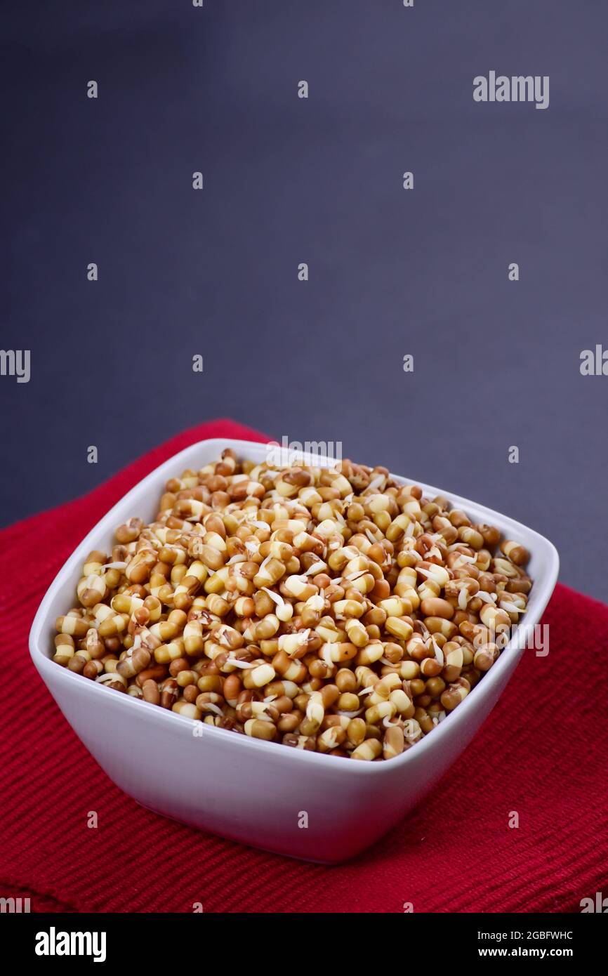 Seedling mung bean sprout hi-res stock photography and images - Alamy