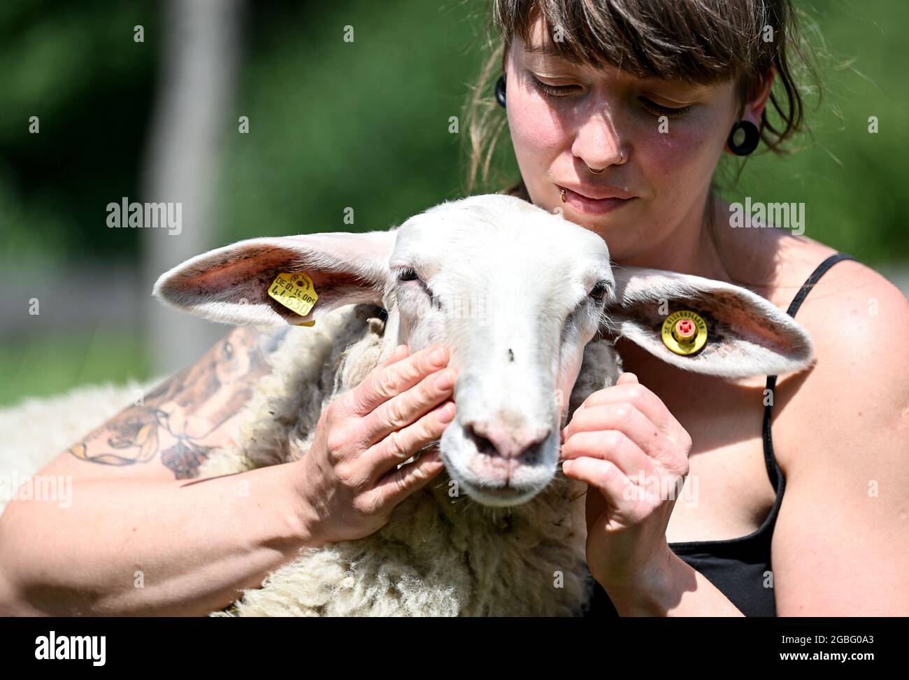 Flatow, Germany. 30th July, 2021. Farmer Sarah Spindler cuddles a sheep ...