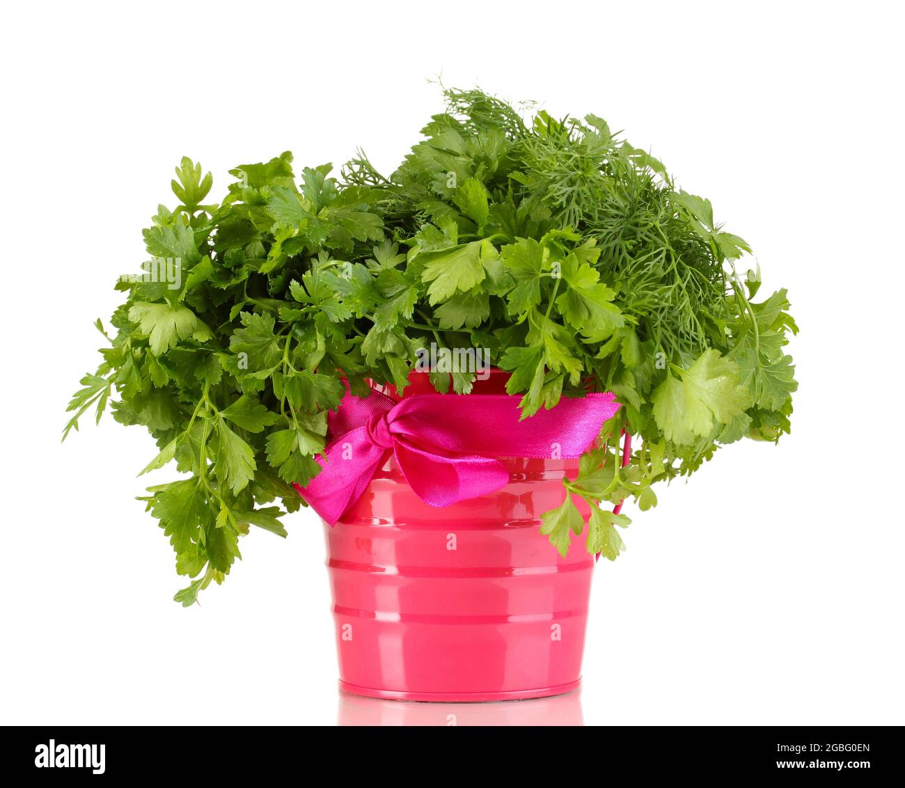 Pink bucket with parsley and dill isolated on white Stock Photo - Alamy