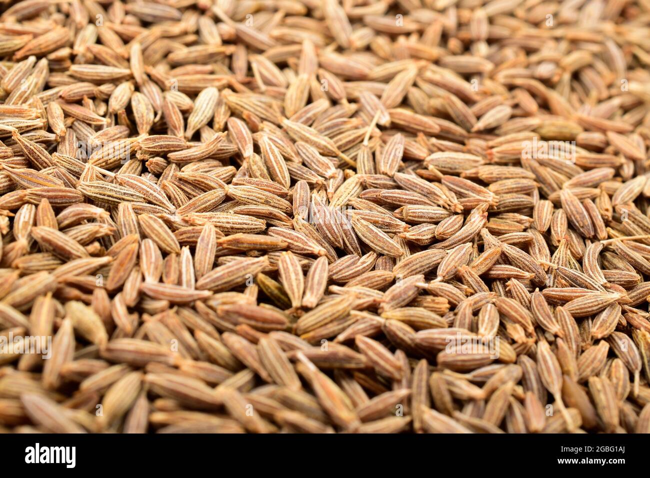 Whole cumin seed hi-res stock photography and images - Alamy