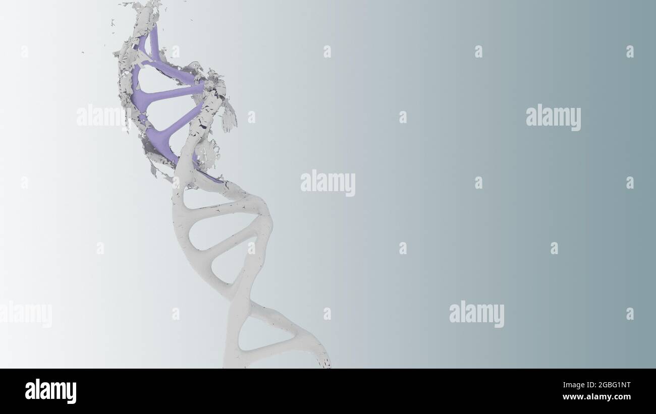 3D rendering of a DNA molecule on a white background Stock Photo - Alamy