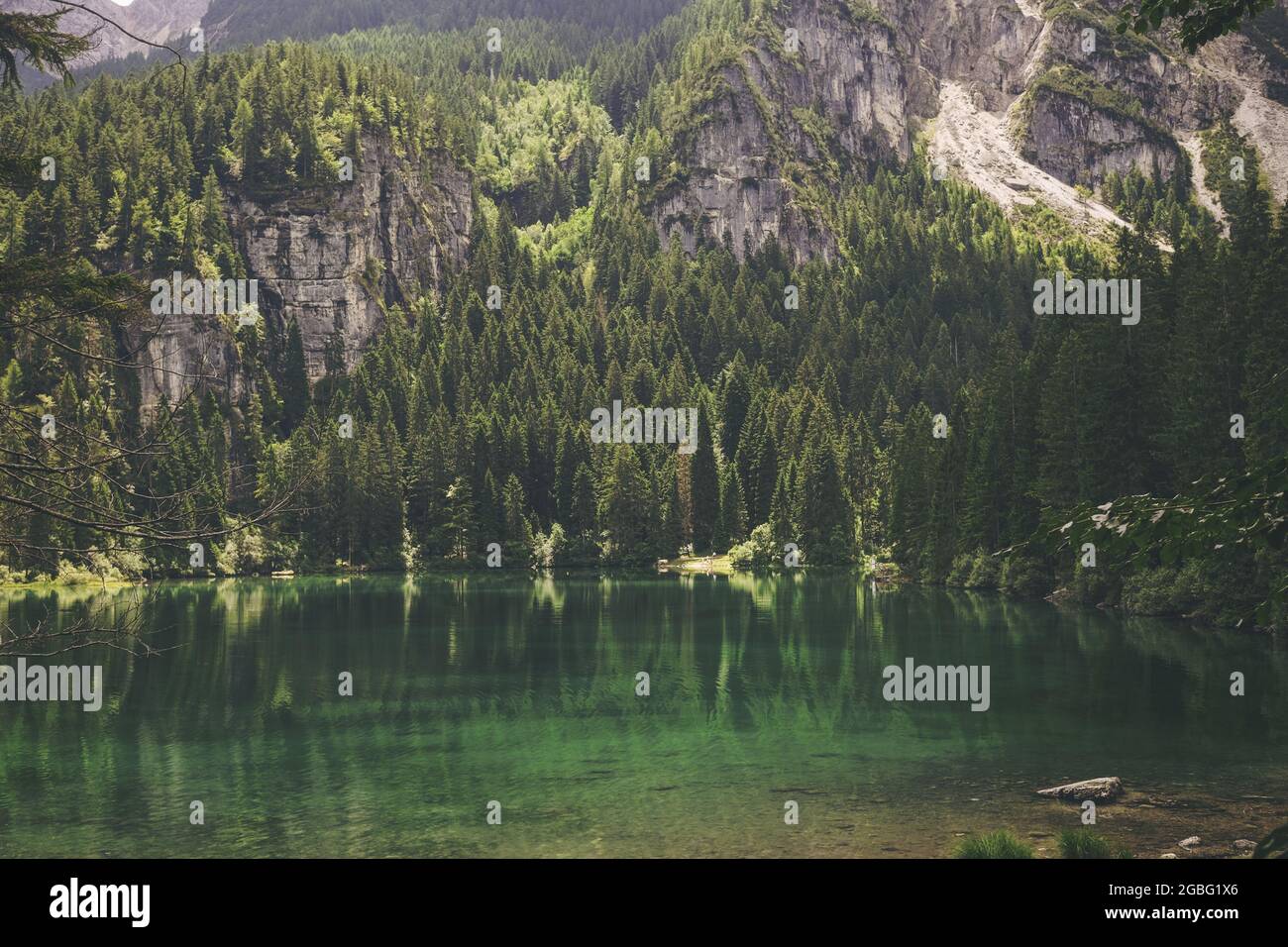 Beautiful view of a lake surrounded by greenery and mountains Stock ...