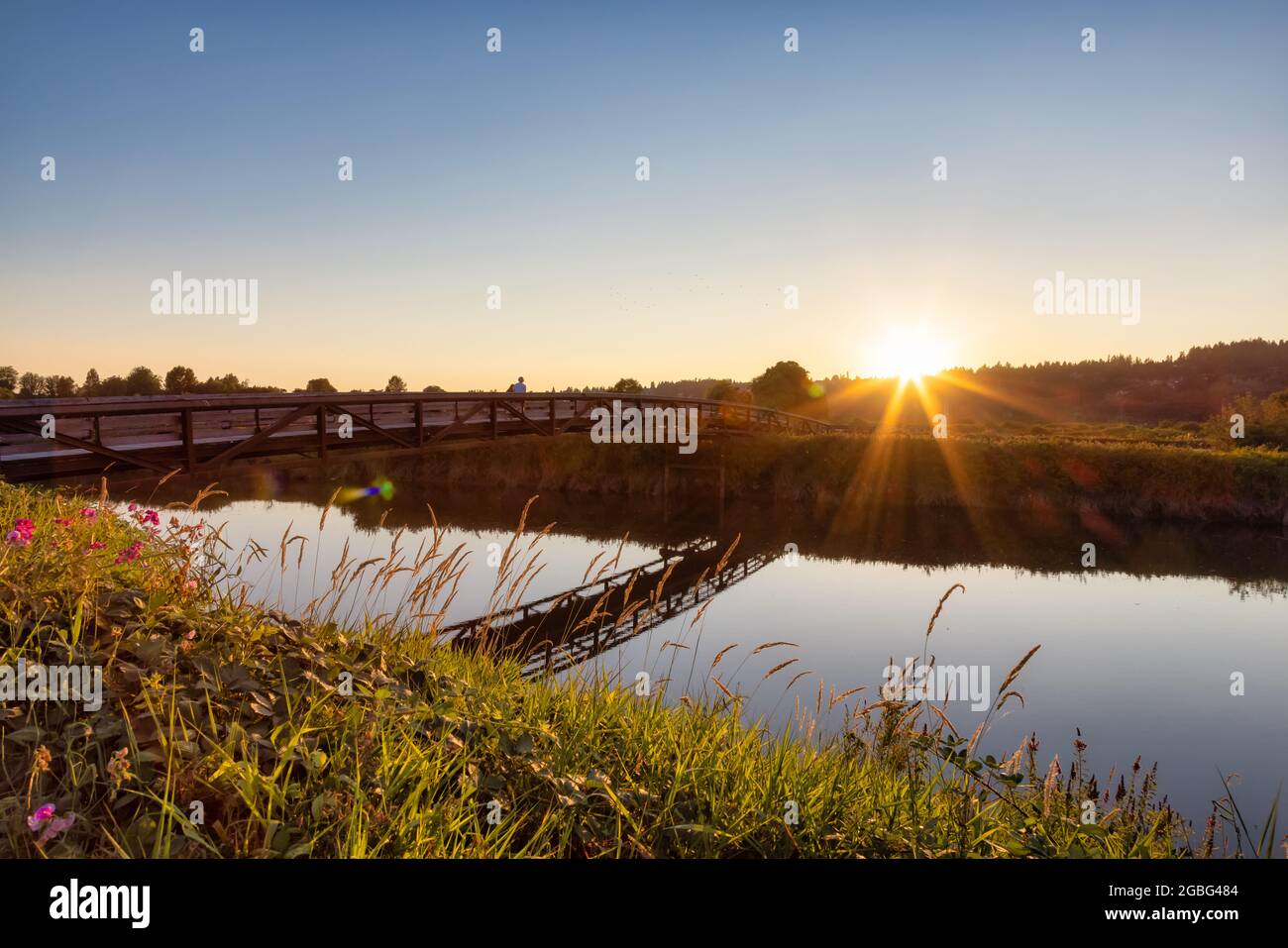 Bridge going over a river in a city park Stock Photo - Alamy