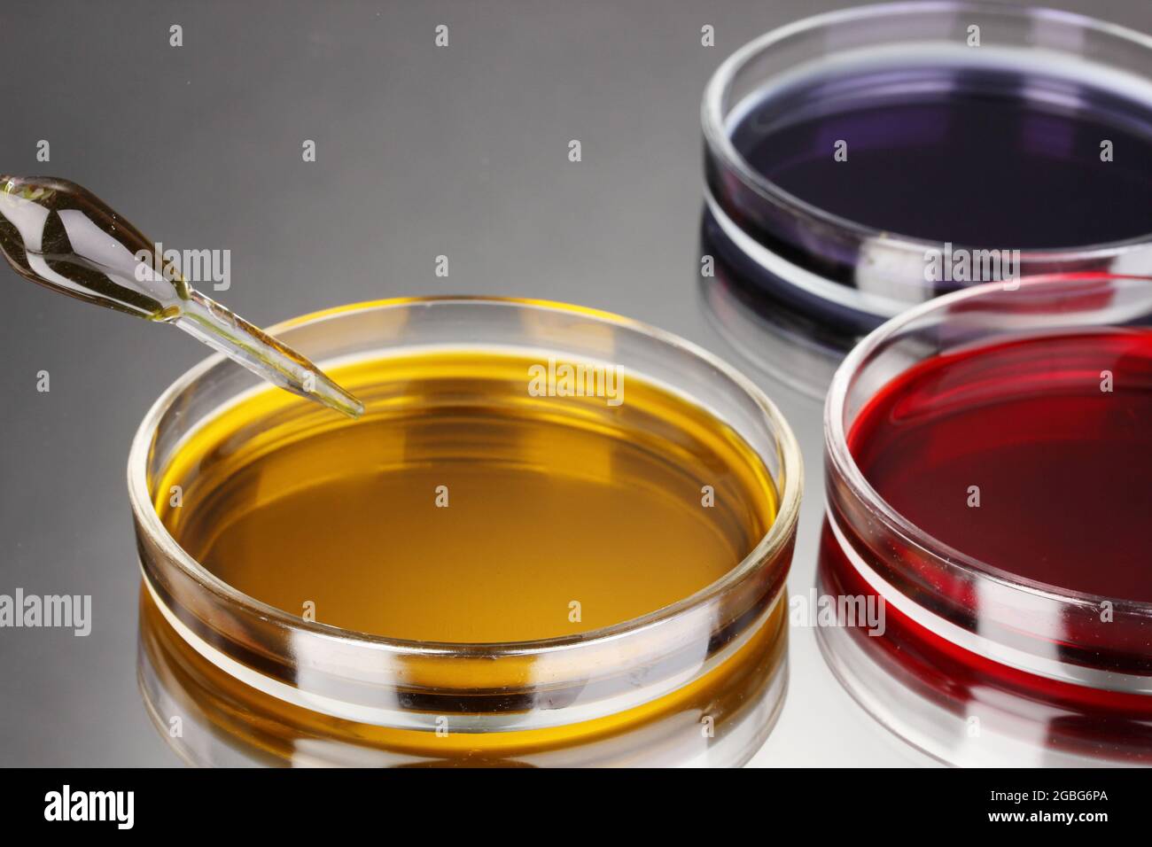 color liquid in petri dishes on grey background Stock Photo - Alamy