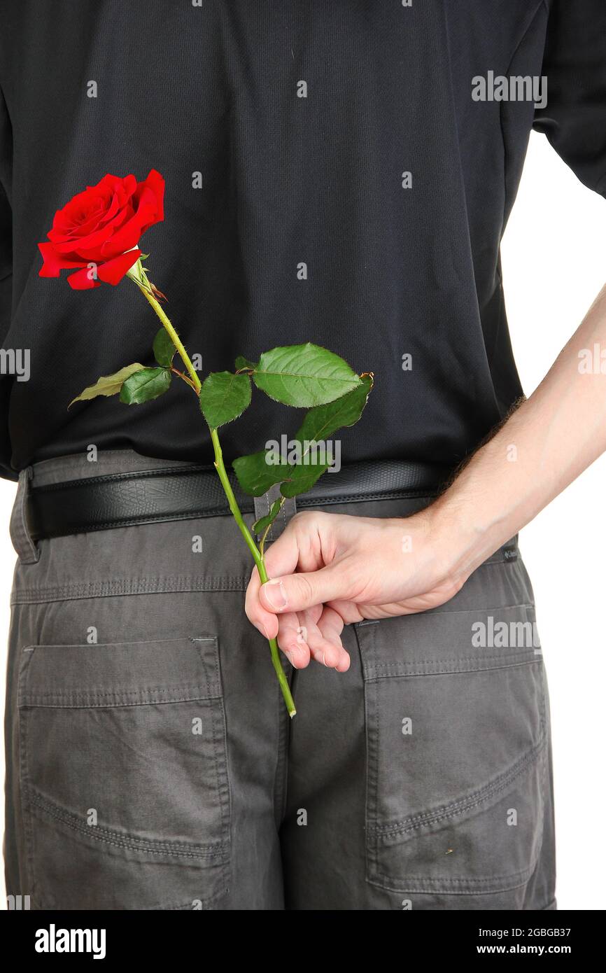 man holding rose close-up Stock Photo - Alamy