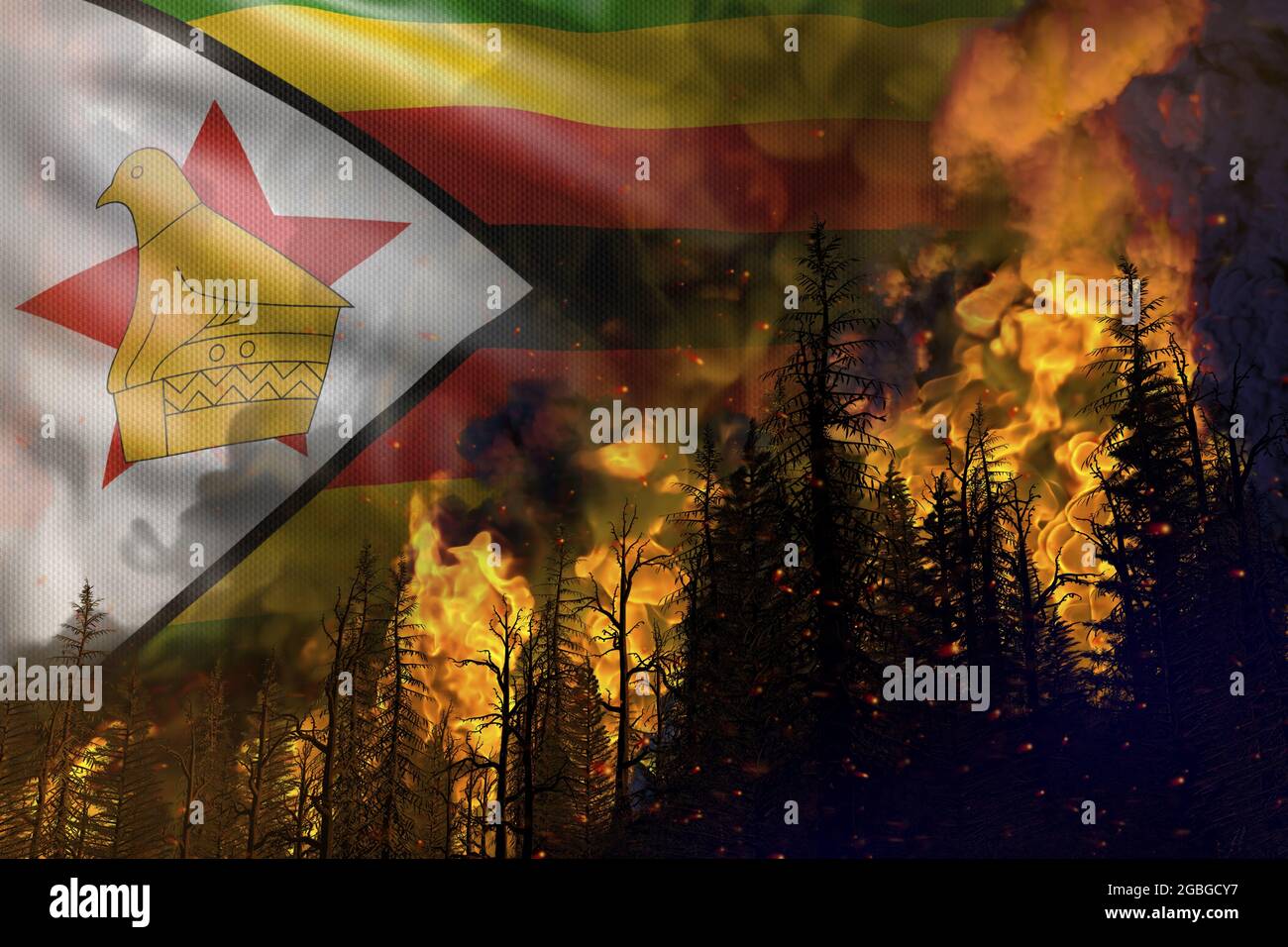 Forest fire natural disaster concept - burning fire in the woods on ...