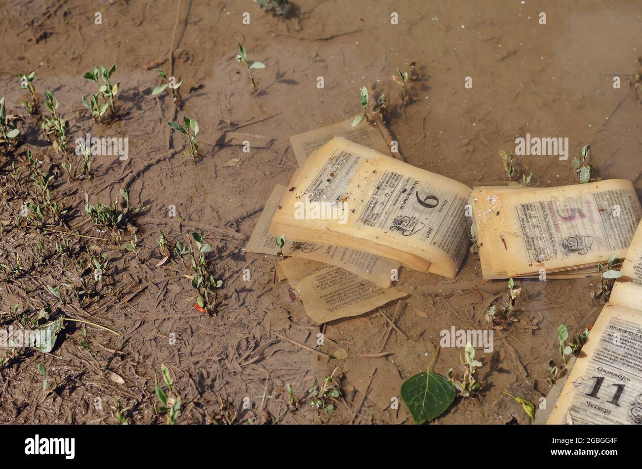 Irretrievably Lost Time Concept. Pages of an old tear-off calendar ...