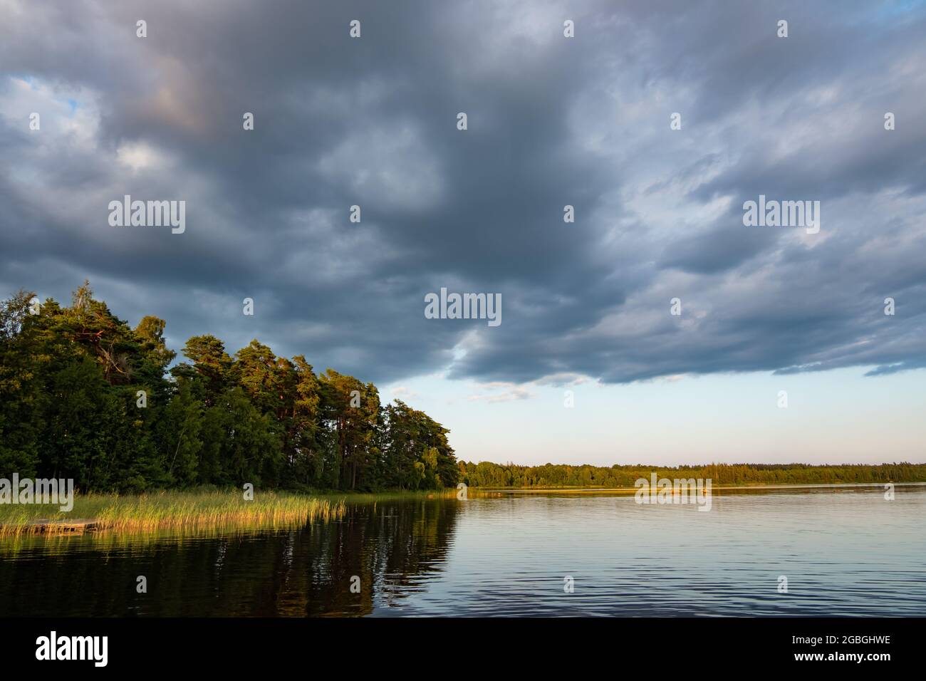lake asnen in the evening light near ryd, sweden Stock Photo - Alamy